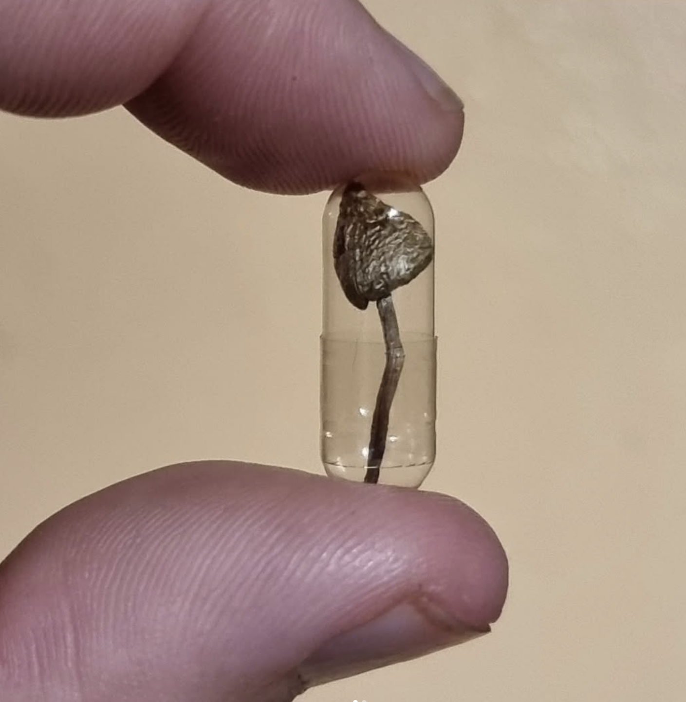 How to Microdose: Benefits, Microdosing and Macrodosing (Big Dose) Comparisons, and 5 Key Tips ...